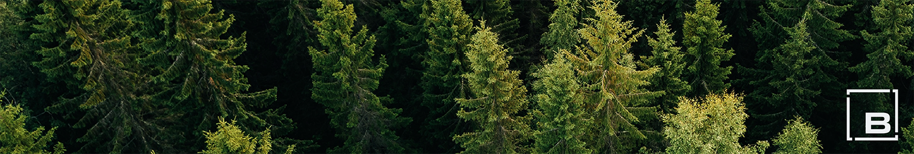 Search for Jobs Talent Network